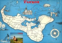 Top 20 Hospitals of Tonga | AlfredTesla